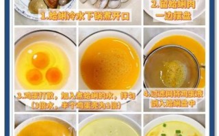 蛤蜊怎么清洗_蛤蜊蒸蛋怎么做