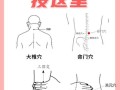 蛤蚧酒的功效与作用_蛤蚧酒怎么泡才正确