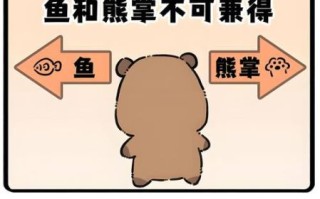 鱼和熊掌不可兼得_如何取舍