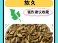 蚕蛹怎么吃最安全_蚕蛹的禁忌有哪些