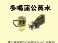 蒲公英最佳搭配_蒲公英和什么一起喝效果最好