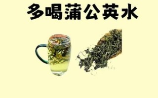 蒲公英最佳搭配_蒲公英和什么一起喝效果最好