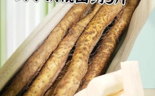 铁棍山药怎么选_铁棍山药怎么吃最好