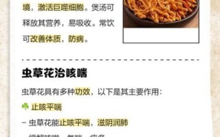 虫草花有什么功效与作用_虫草花的禁忌人群有哪些