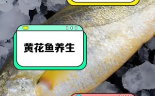黄鱼的营养价值_黄鱼吃了有什么好处