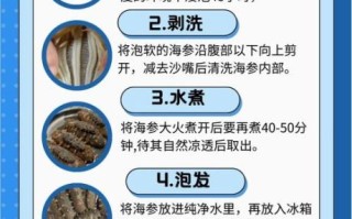 干海参怎么泡发_干海参怎么做最好吃