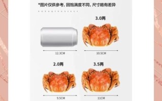 怎么看是不是阳澄湖大闸蟹_真假辨别技巧