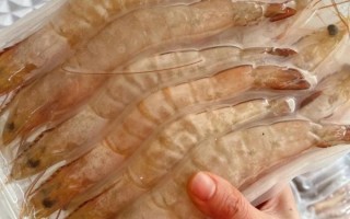 冰冻大海虾怎么做好吃_冰冻大海虾的做法大全