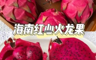 火龙果图片大全大图真实_火龙果怎么挑选才甜