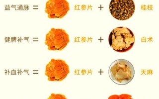 红参怎么吃最好_红参一天吃多少合适