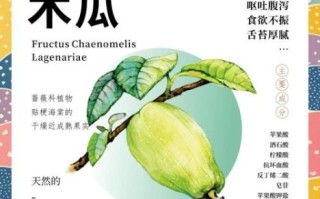 药木瓜的功效与作用是什么_药木瓜和木瓜区别