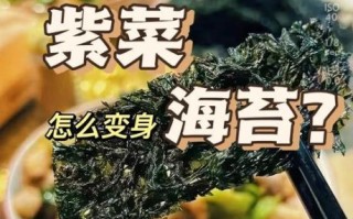 紫菜怎么做海苔_自制海苔做法