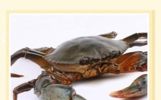 青蟹养殖技术_青蟹养殖利润怎么样