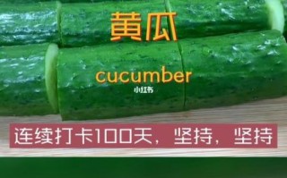 青瓜英语怎么说_青瓜英文怎么读