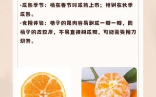 橘子和橙子的区别_哪个营养更高