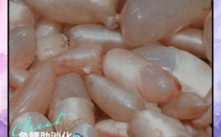 鱼鳔的作用是什么_鱼鳔对鱼的重要性 鱼鳔的作用是什么_鱼鳔对鱼的重要性