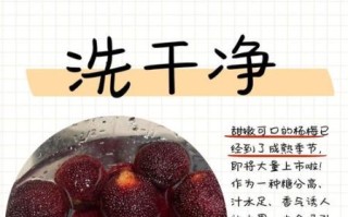 杨梅怎么洗才干净_杨梅的正确吃法