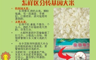 中国转基因食品名单有哪些_转基因食品怎么辨别