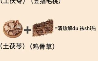 新鲜土茯苓的功效与作用_土茯苓怎么煲汤祛湿