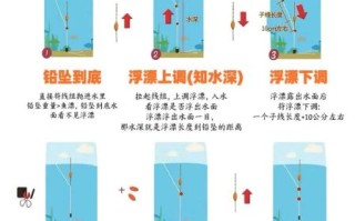 钓鱼调漂怎么调_高清视频教程