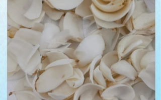 鲜百合怎么做好吃_鲜百合最简单的做法大全