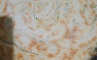 家庭烙饼怎么做_烙饼软而不硬的秘诀