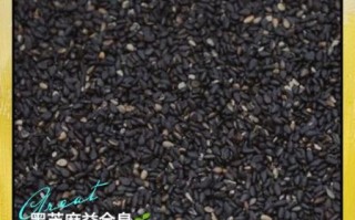 黑芝麻的功效与作用及禁忌_吃错易丧命