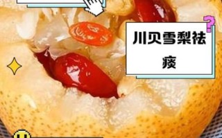 川贝雪梨炖冰糖怎么做_川贝雪梨炖冰糖的功效