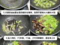菱角怎么吃_菱角正确吃法大全