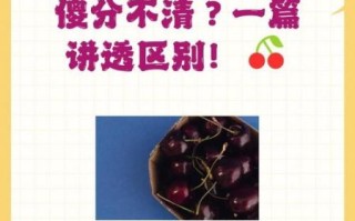 樱桃和车厘子有什么区别_哪个更贵