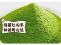喝绿茶粉能减肥吗_绿茶粉的功效与作用