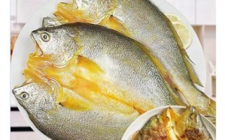 黄花鱼怎么做好吃_清蒸黄花鱼的做法窍门