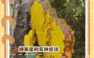 蜂巢蜜怎么吃_蜂巢蜜一天吃多少