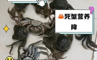 螃蟹冷藏一天死了还能吃吗_死蟹食用安全指南