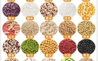 五谷杂粮有哪些品种_五谷杂粮都包括什么