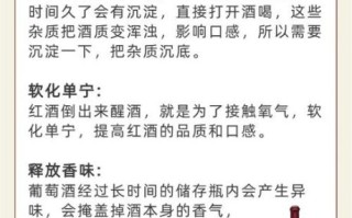 葡萄酒怎么才好喝_如何正确醒酒