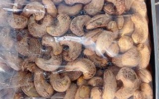 腰果产地是哪里_腰果主要产地有哪些