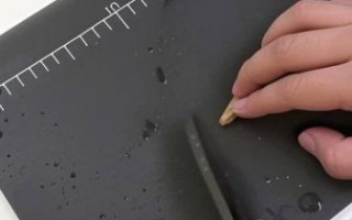 蛏子哪里不能吃图解_蛏子内脏怎么清理