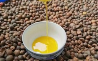 茶油治恶性肿瘤吗_茶油抗癌真相