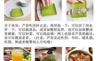 芦荟怎么吃_芦荟的吃法大全