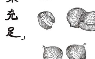 举个栗子图片怎么画_举个栗子简笔画教程