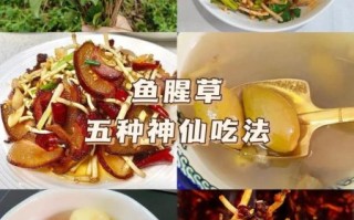 鱼腥草图片长什么样_鱼腥草怎么吃最好