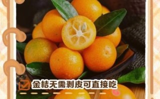 金桔可以带皮吃吗_金桔皮能吃吗