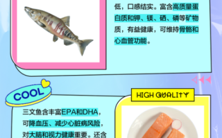 马哈鱼是什么鱼_马哈鱼和三文鱼的区别