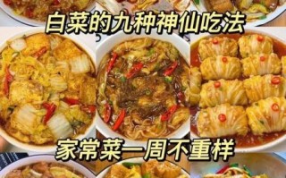 白菜可以做什么菜_白菜怎么做好吃