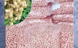 生花生米多少钱一斤_生花生米价格走势