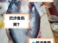 巴沙鱼为什么被禁止_巴沙鱼禁止进口原因