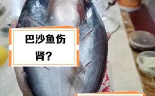 巴沙鱼为什么被禁止_巴沙鱼禁止进口原因