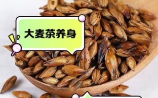 大麦茶怎么泡_大麦茶一次放多少粒