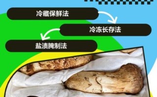 鲜松茸怎么保存_鲜松茸的家常做法大全